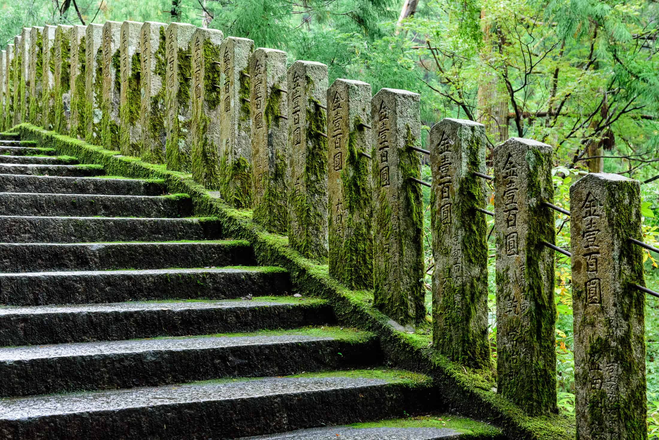 Mount Kuramo hike | Monika Salzmann – Travel Photography